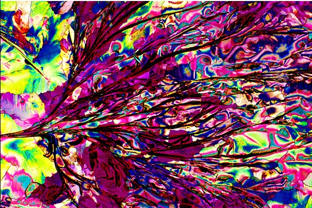 Alcohol Under The Microscope | Amusing Planet